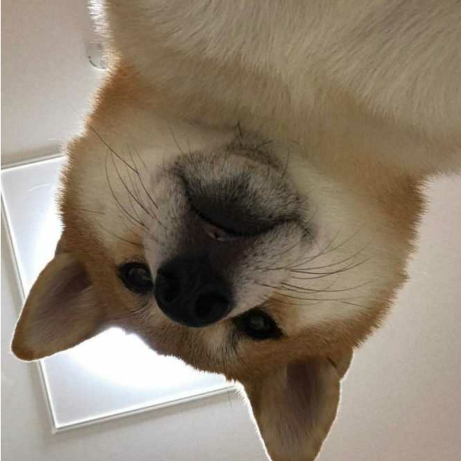 转发动态 - 我佛糍粑的动态 - TapTap