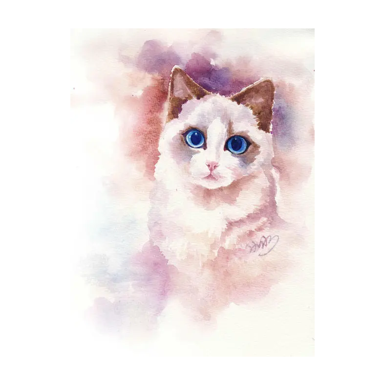 转发动态 - Primer plus的动态 - TapTap