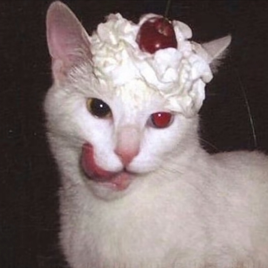 聊天环境就是这种吗？... - 一念逍遥反馈 - TapTap 一念逍遥论坛