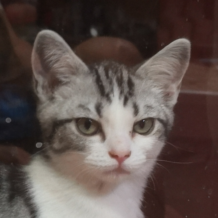 好家伙hhhhhh - 天谕奥特曼联动 - TapTap 天谕论坛