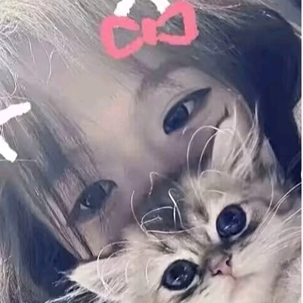 转发动态 - 201299lgl99的动态 - TapTap